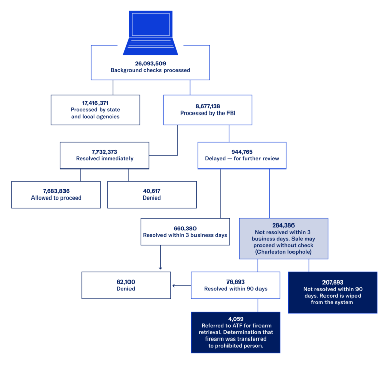 Undeniable: How Long-Standing Loopholes in the Background Check System ...